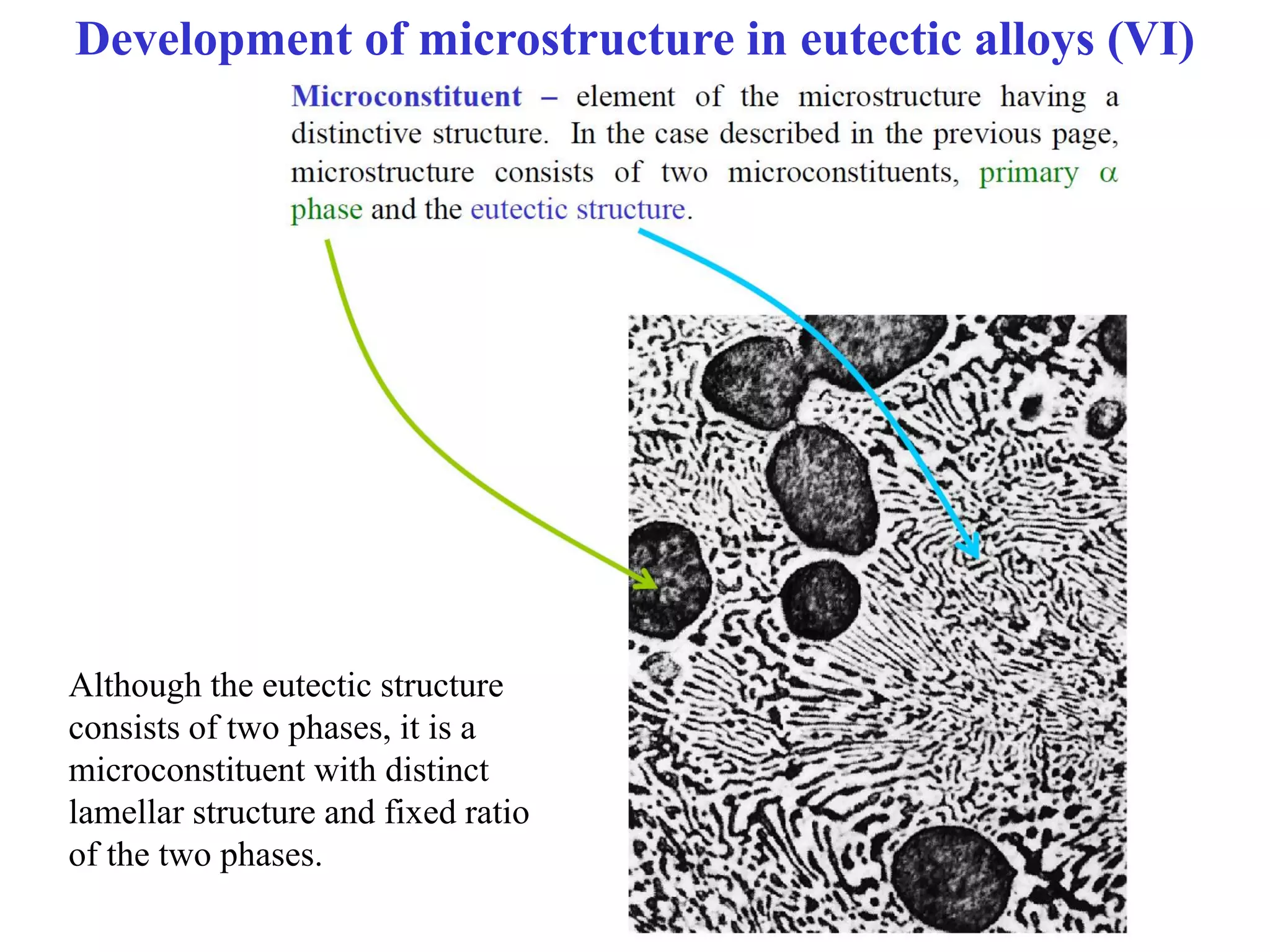 Lecture: Binary phase diagrams and Gibbs free energy curves | PDF