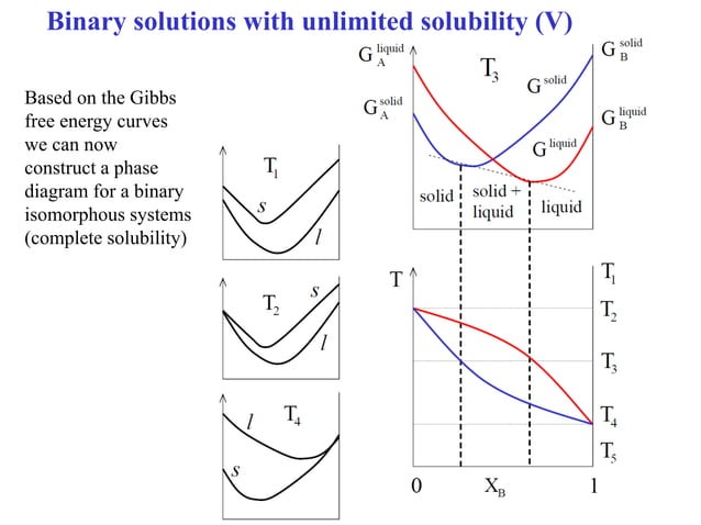Lecture: Binary phase diagrams and Gibbs free energy curves | PPT