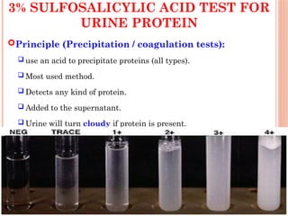 LECTURE 4 (Chemical Examination of Urine).pptx