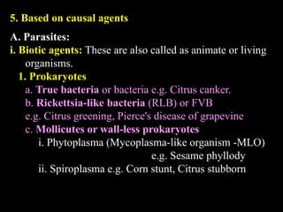 Lecture 4 Classification of plant diseases.pptx