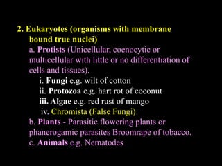 Lecture 4 Classification of plant diseases.pptx
