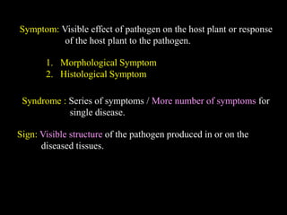 Lecture 4 Classification of plant diseases.pptx