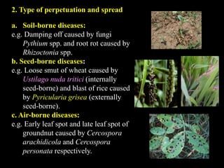 Lecture 4 Classification of plant diseases.pptx