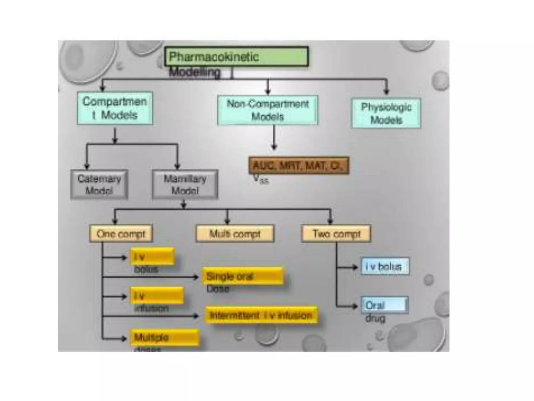 lecture 4 Clinical pharmacokinetics.pptx