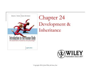 Lecture 4 development & inheritance | PPT