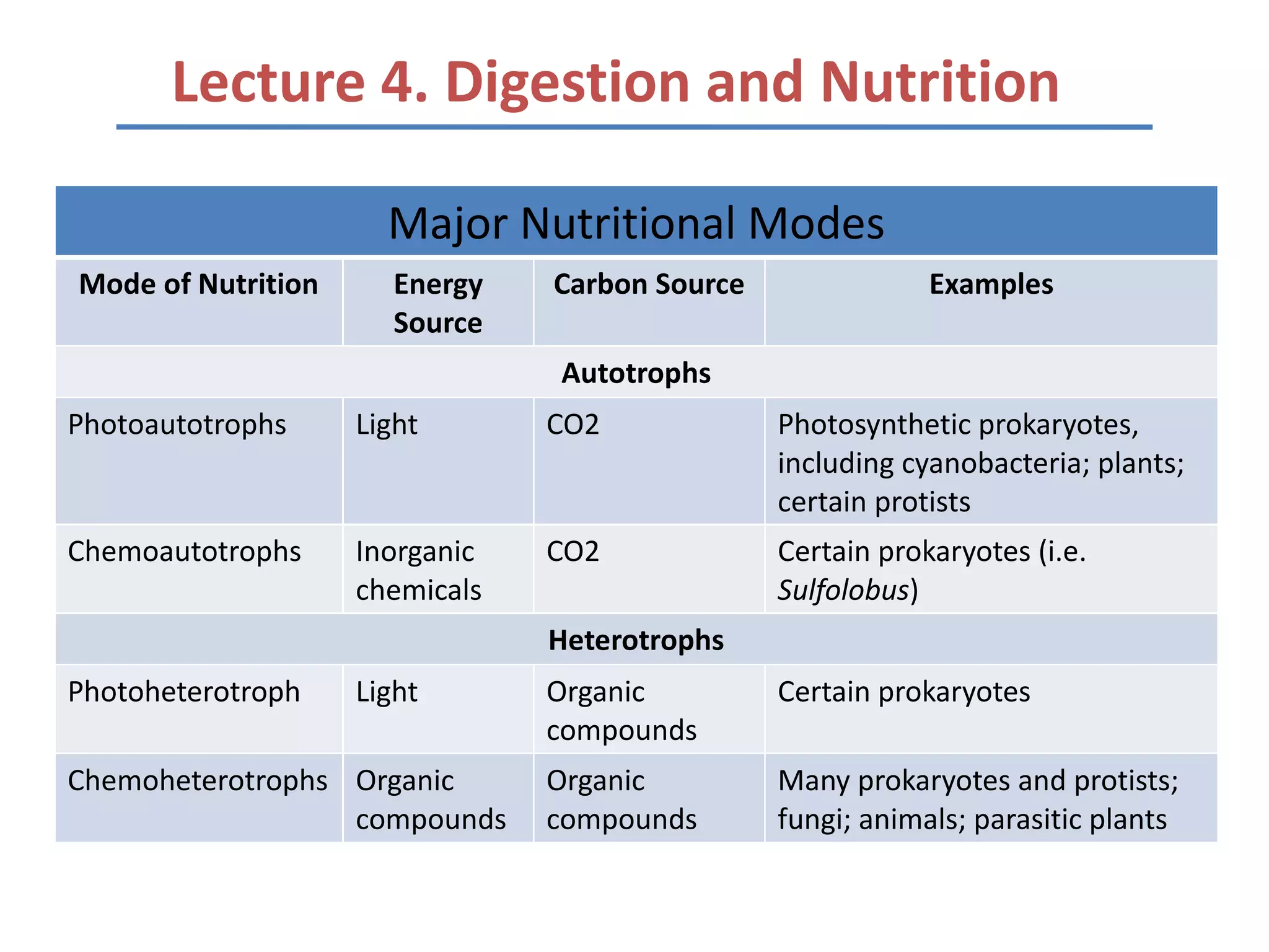 Lecture 4 digestion and nutrition 2nd sem 2008-2009 | PDF