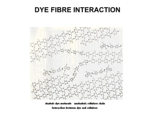 Lecture 4 dyeing basics | PPT