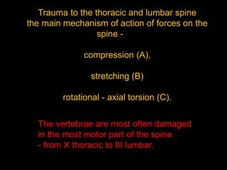 Injuries of the spine and pelvis | PPT