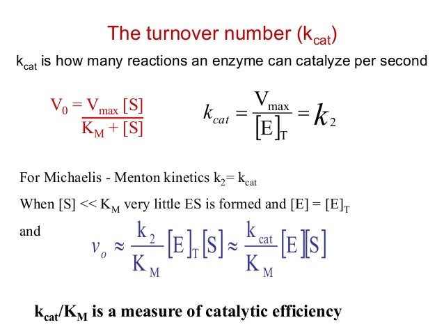 Enzyme Catalysis
