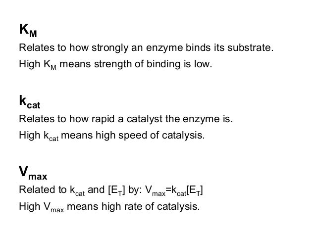 Enzyme Catalysis