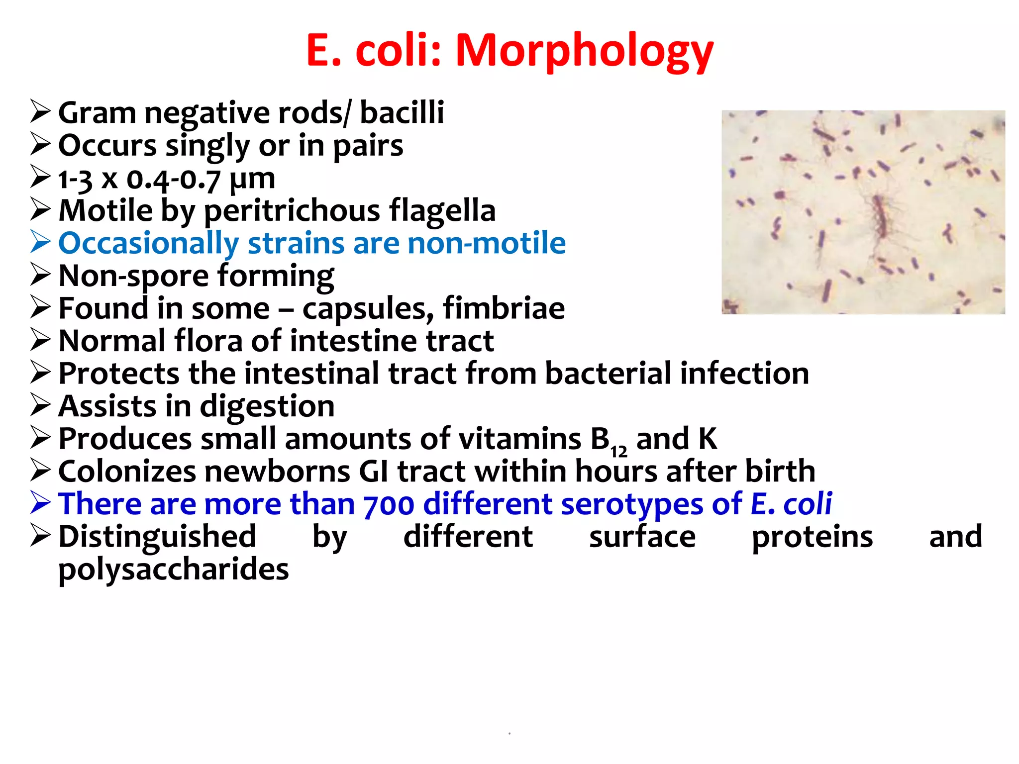 Genus Escherichia coli | PPTX