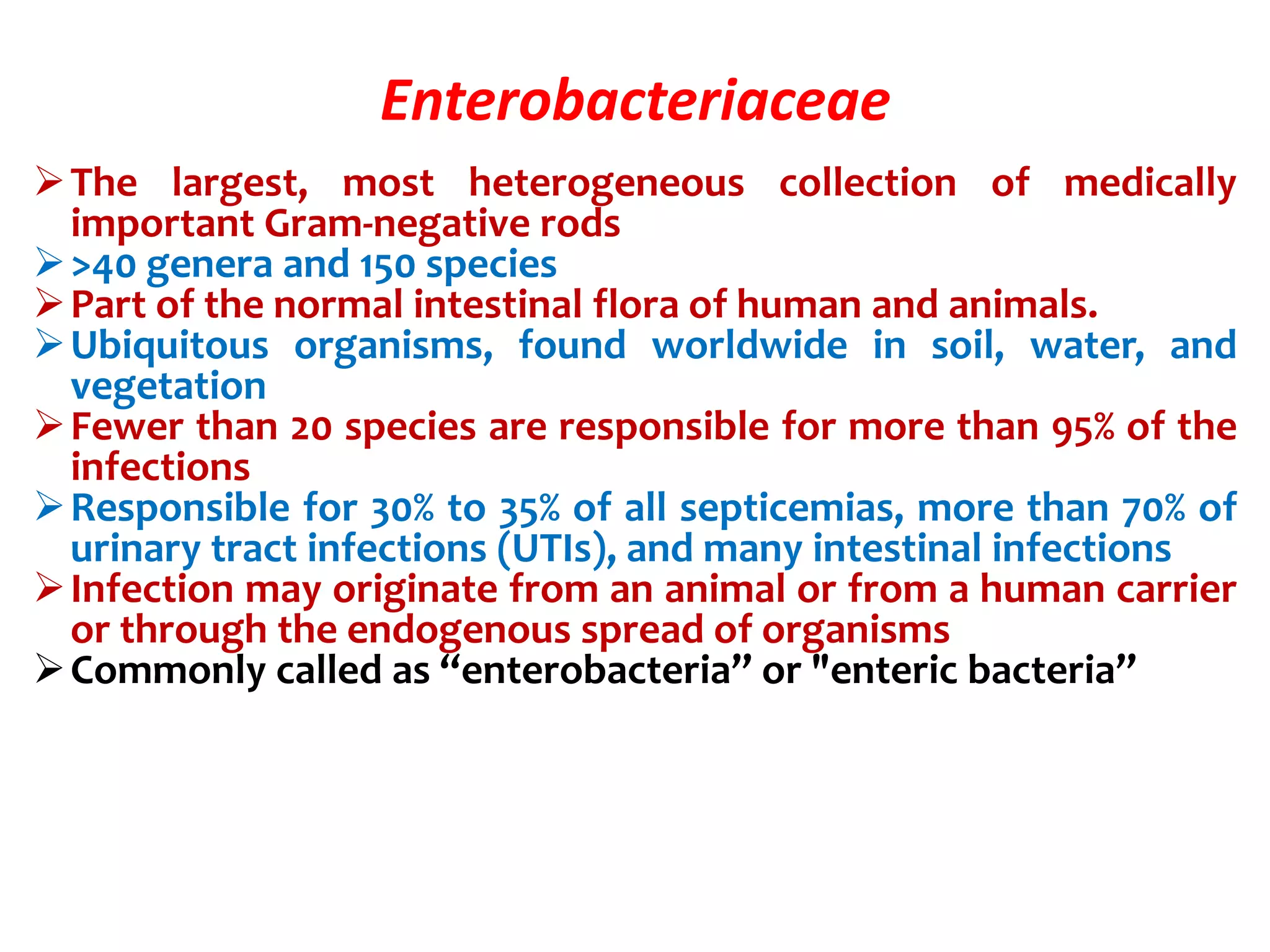 Genus Escherichia coli | PPTX