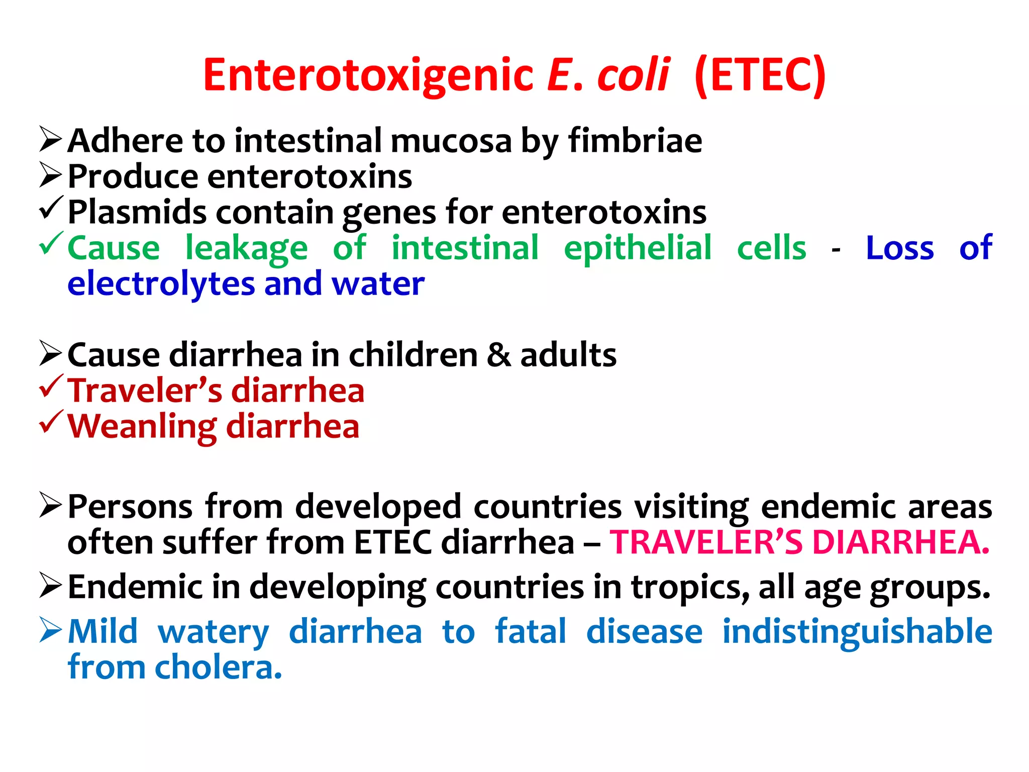 Genus Escherichia coli | PPTX
