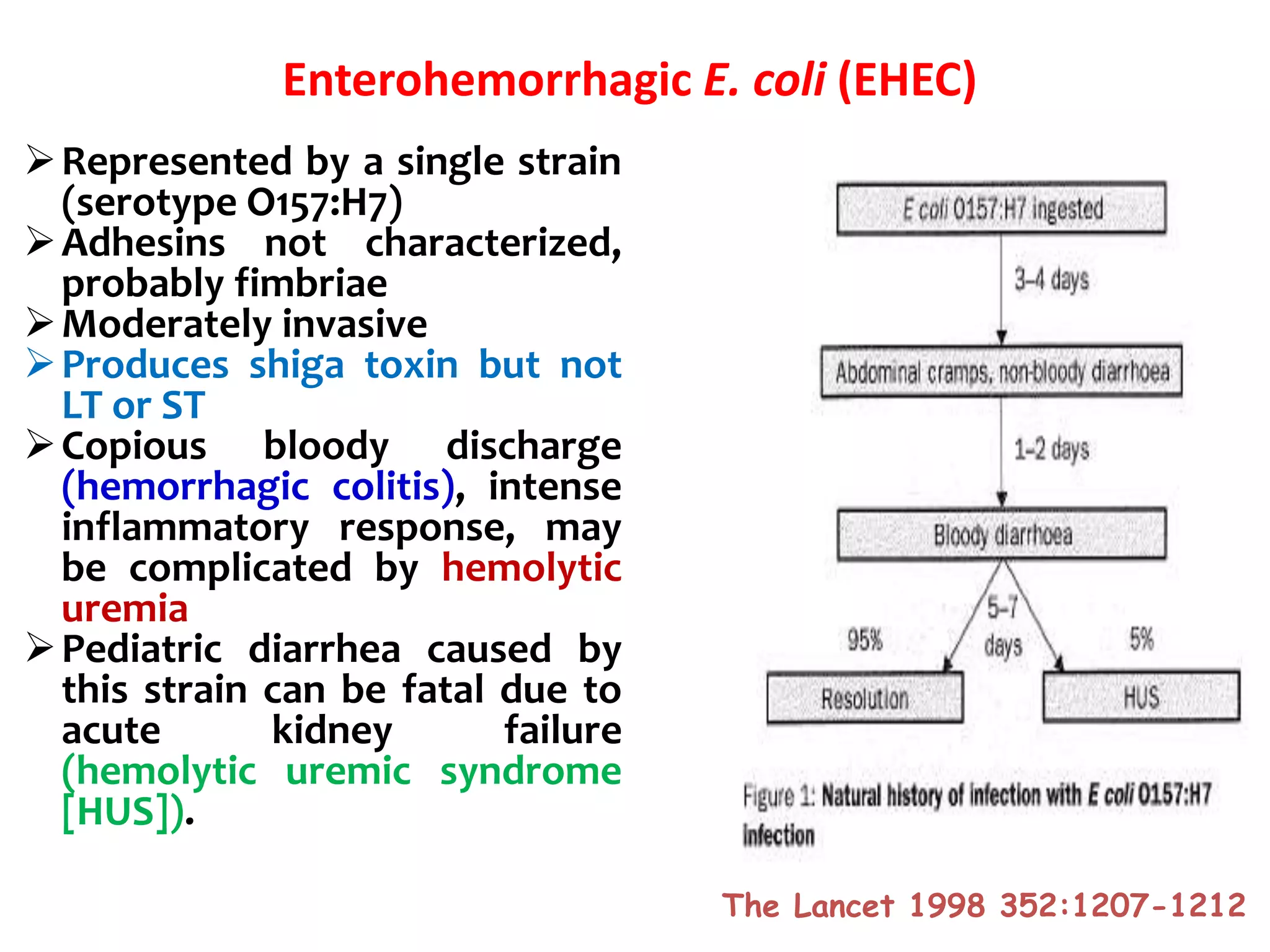 Genus Escherichia coli | PPTX
