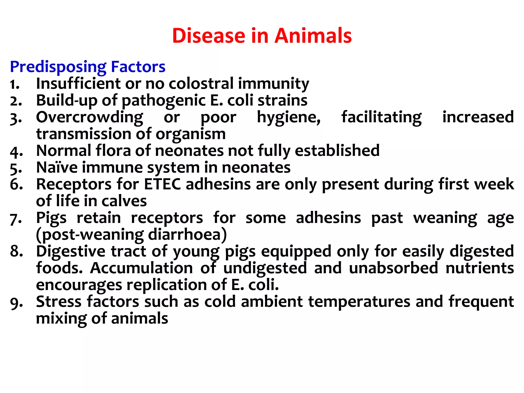 Genus Escherichia coli | PPTX