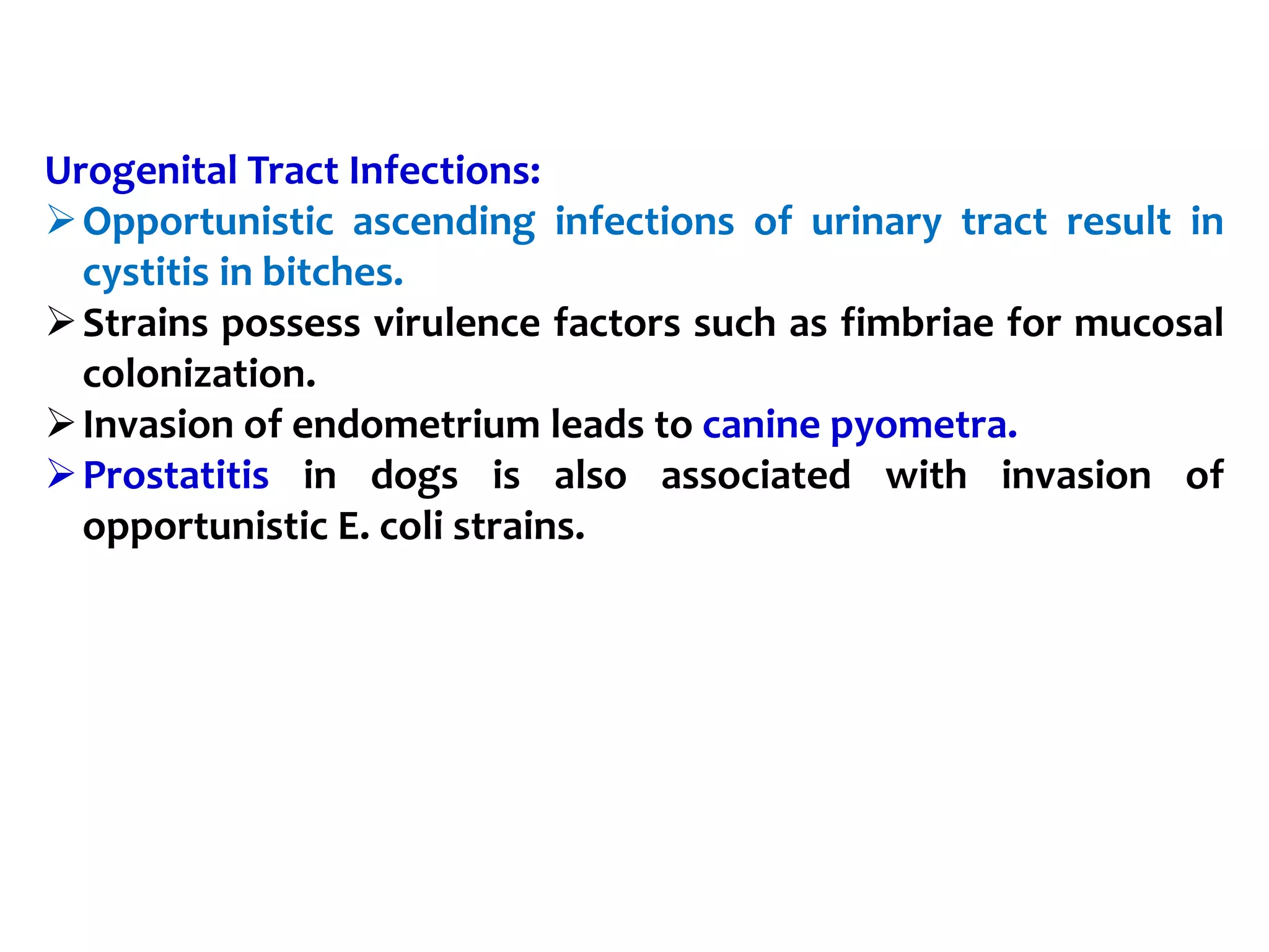 Genus Escherichia coli | PPTX