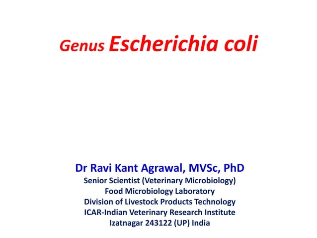 Genus Escherichia coli | PPTX