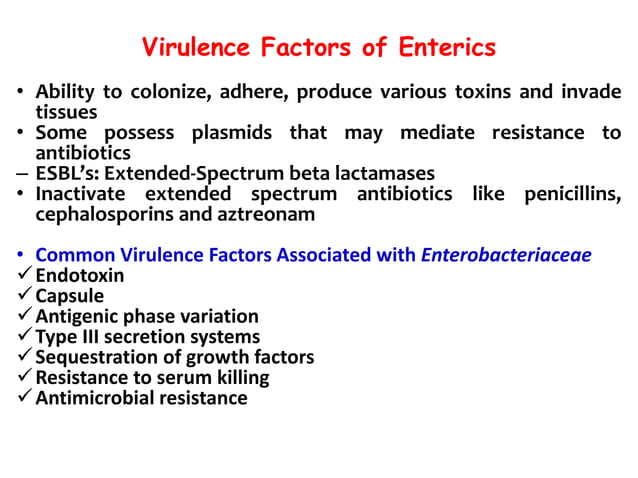 Genus Escherichia coli | PPTX