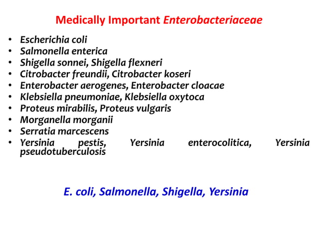 Genus Escherichia coli | PPTX