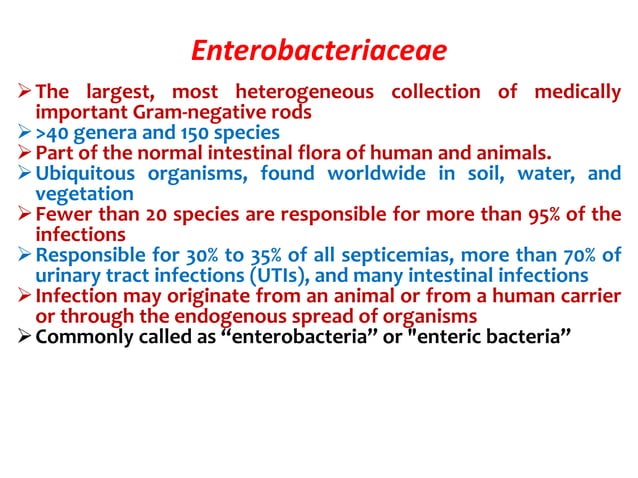 Genus Escherichia coli | PPTX