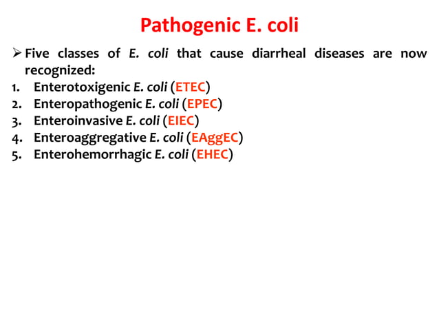 Genus Escherichia coli | PPTX