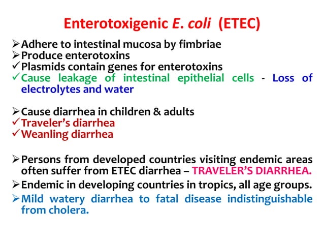 Genus Escherichia coli | PPTX