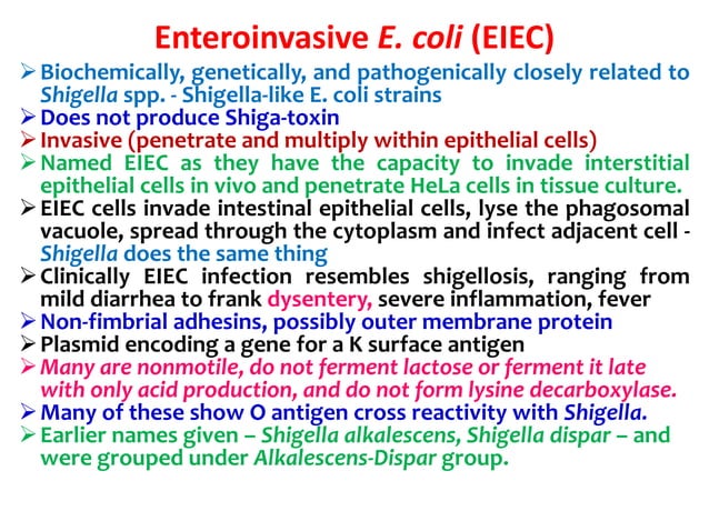 Genus Escherichia coli | PPTX