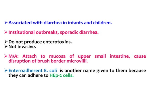 Genus Escherichia coli | PPTX