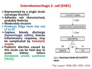 Genus Escherichia coli | PPTX