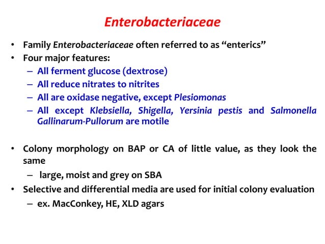 Genus Escherichia coli | PPTX