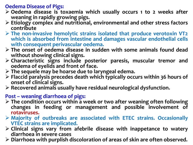 Genus Escherichia coli | PPTX