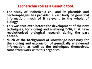 Genus Escherichia coli | PPTX