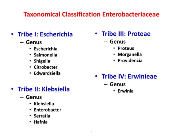 Genus Escherichia coli | PPTX