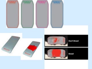Lecture 4 estrus detection dairy cows | PDF