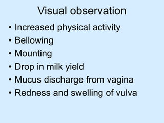 Lecture 4 estrus detection dairy cows | PDF