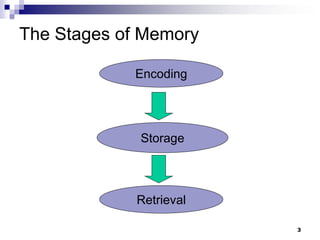 Forensic Psychology:Eye Witness Testimony | PDF