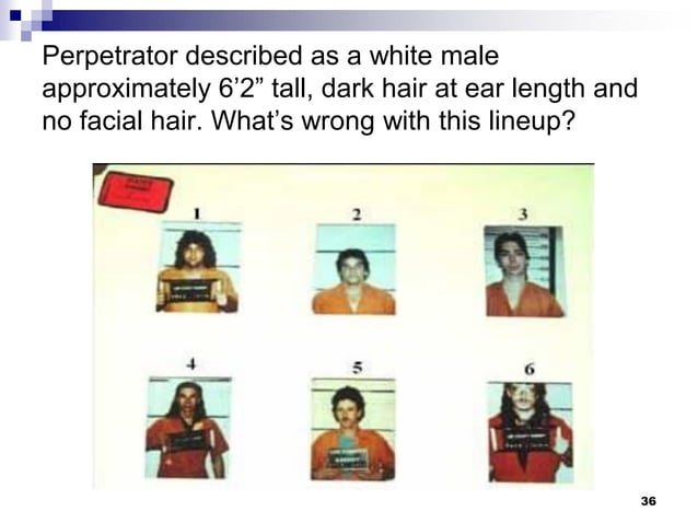 Forensic Psychology:Eye Witness Testimony | PDF