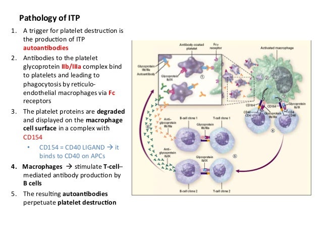 Lecture 4, fall 2014 pdf