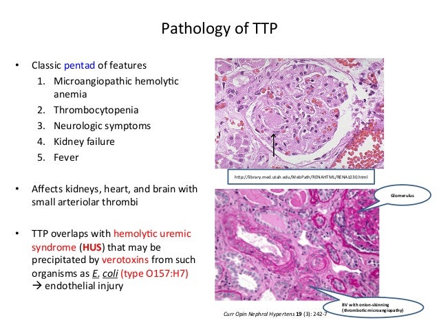 Lecture 4, fall 2014 pdf