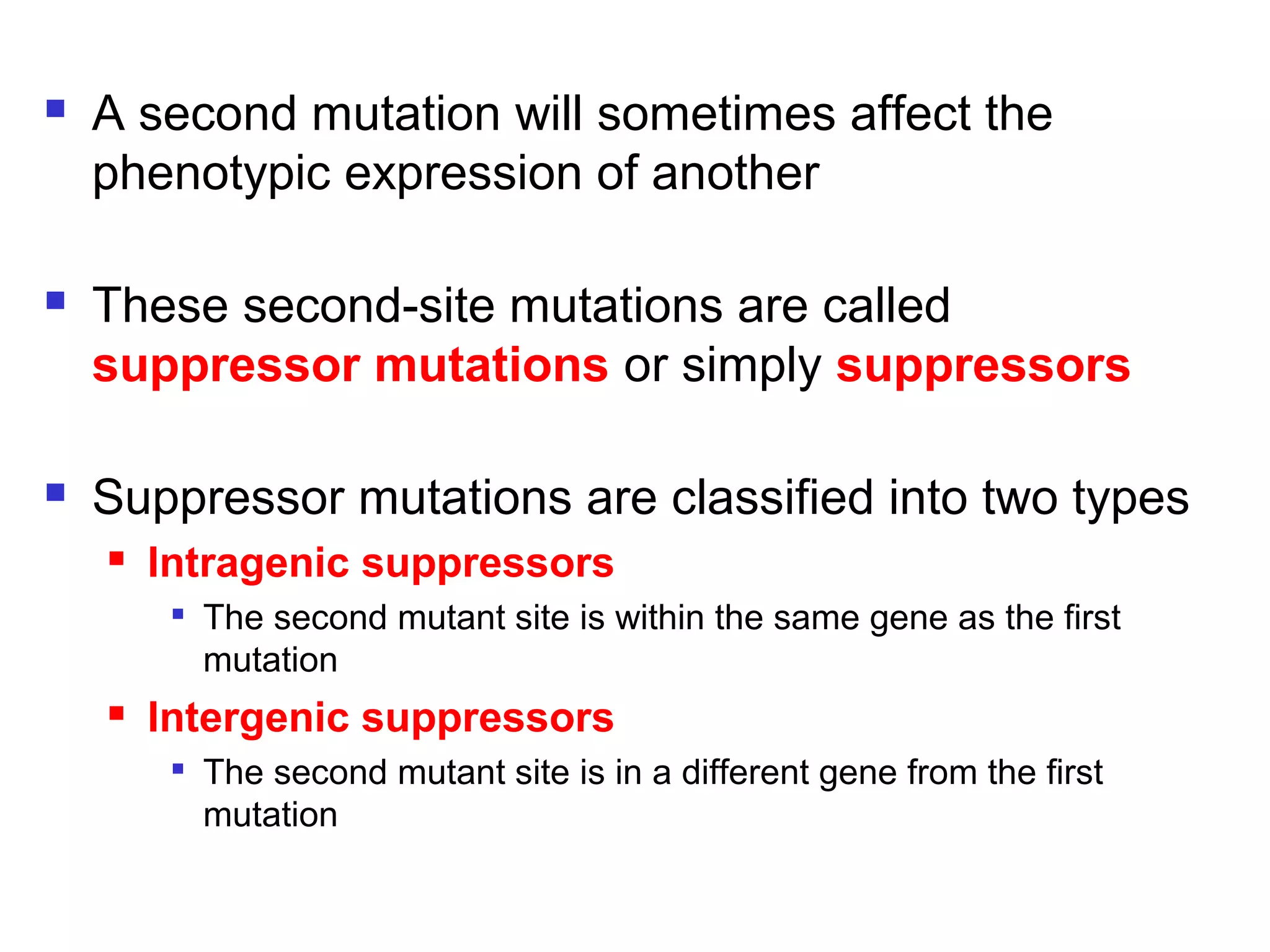 Lecture 4, gene mutation.ppt