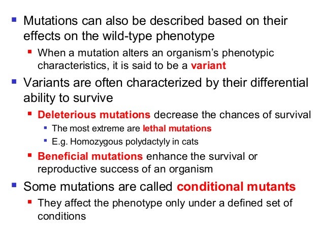 Lecture 4 Gene Mutation Ppt