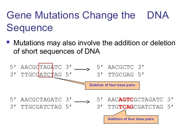 Lecture 4, gene mutation.ppt