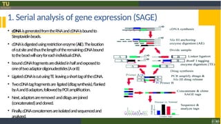 lecture 4 genomic and transcriptomic (1).pptx