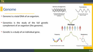 lecture 4 genomic and transcriptomic (1).pptx