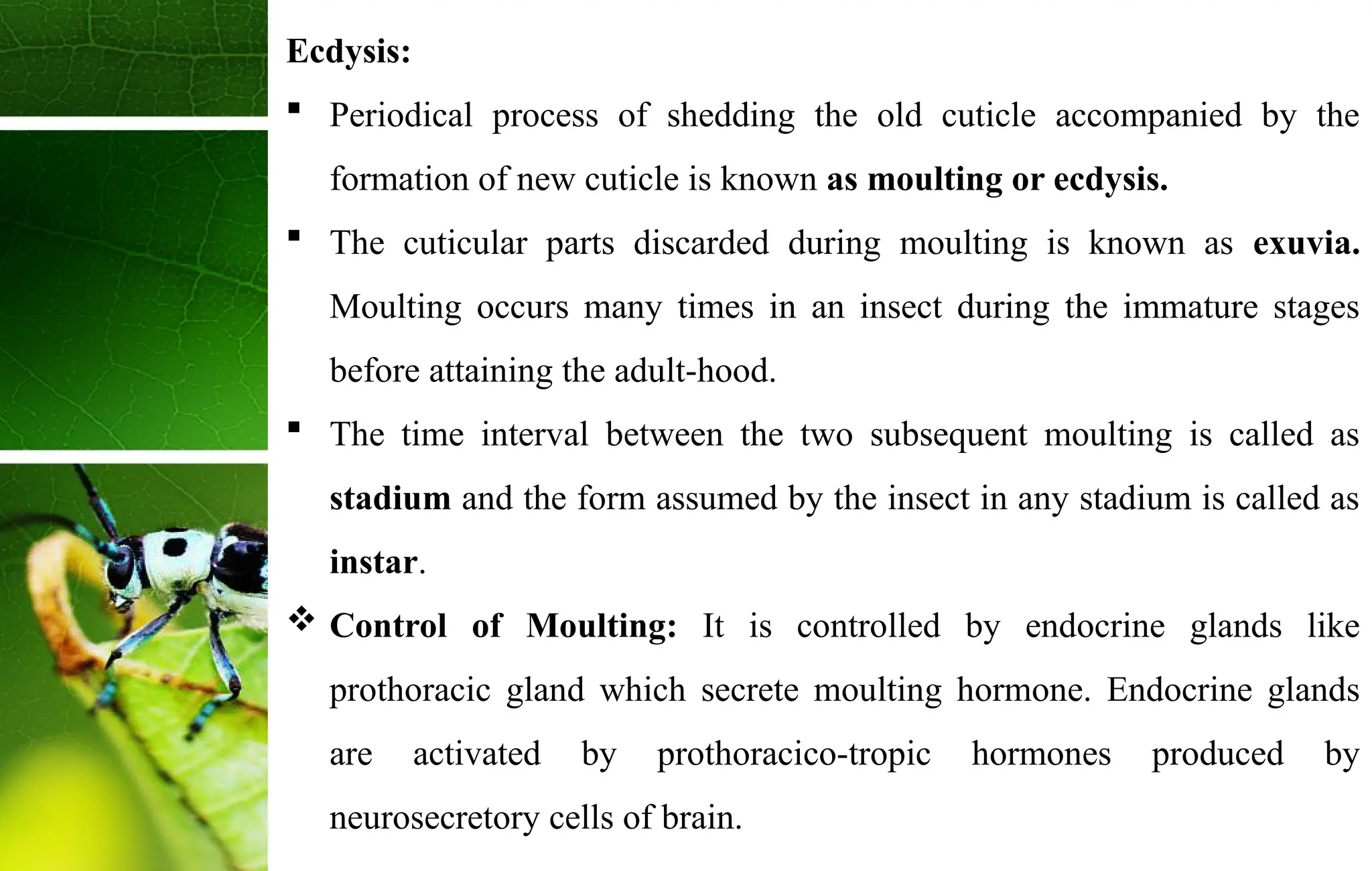 Lecture 4 INSECT CUTICLE and moulting.pptx