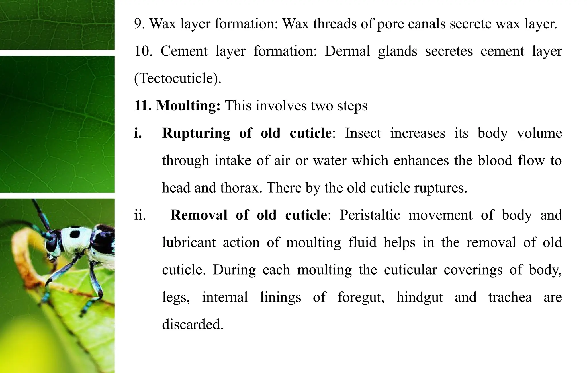Lecture 4 INSECT CUTICLE and moulting.pptx
