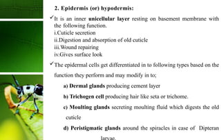 Lecture 4 INSECT CUTICLE and moulting.pptx