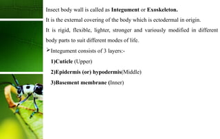 Lecture 4 INSECT CUTICLE and moulting.pptx
