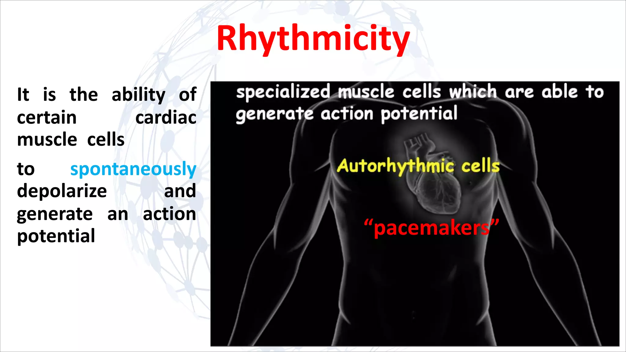 Lecture 4 Introduction and cardiac automaticity (Physiology 1).pdf