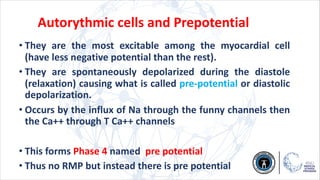 Lecture 4 Introduction and cardiac automaticity (Physiology 1).pdf